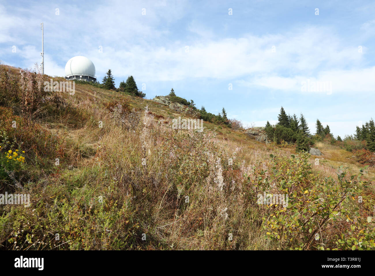 Arber / Arber Stock Photo - Alamy