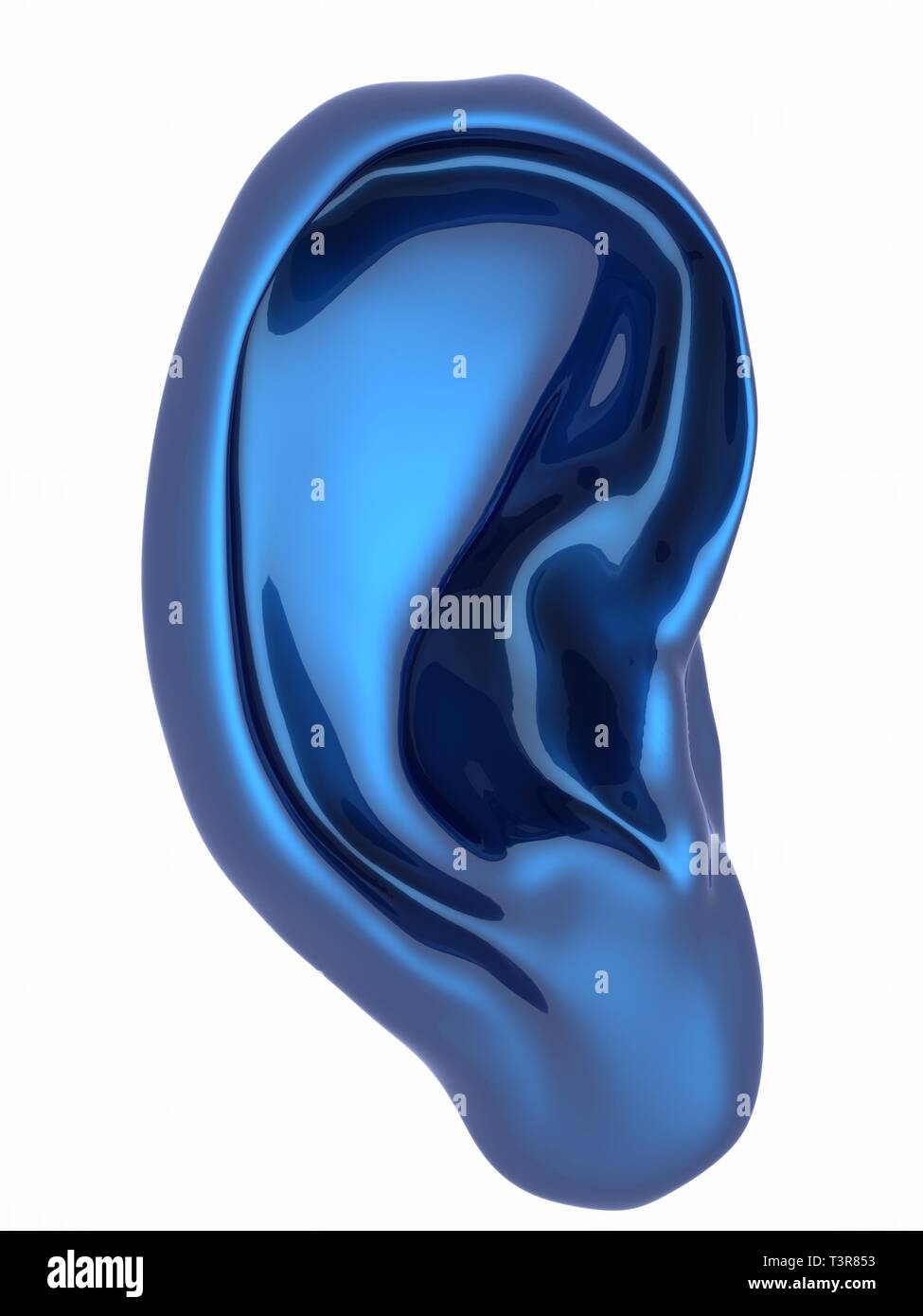 Medical model of ear Cut Out Stock Images & Pictures - Alamy