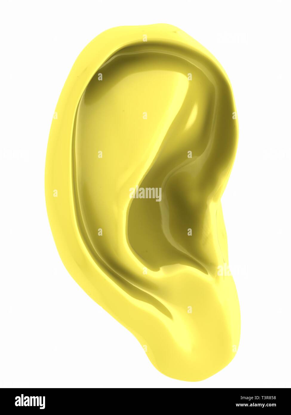 Medical model of ear Cut Out Stock Images & Pictures - Alamy