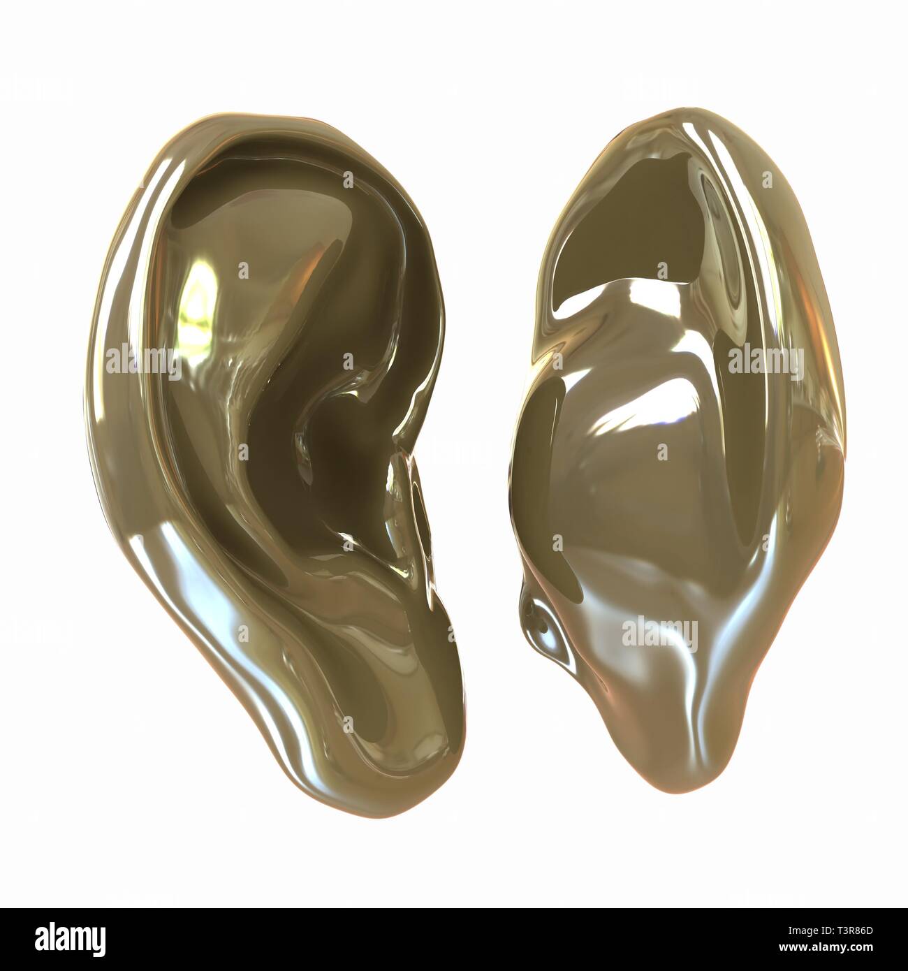 Medical model of ear Cut Out Stock Images & Pictures - Alamy