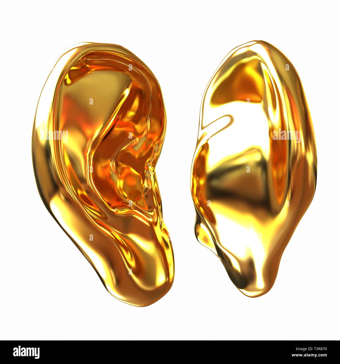 Medical model of ear Cut Out Stock Images & Pictures - Alamy
