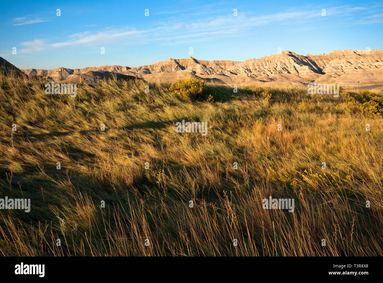 Badlands national park grassy hi-res stock photography and images - Alamy