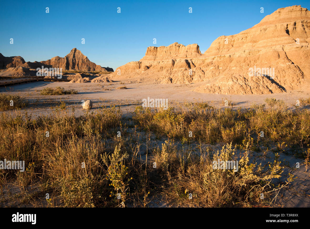 Badlands national park grassy hi-res stock photography and images - Alamy