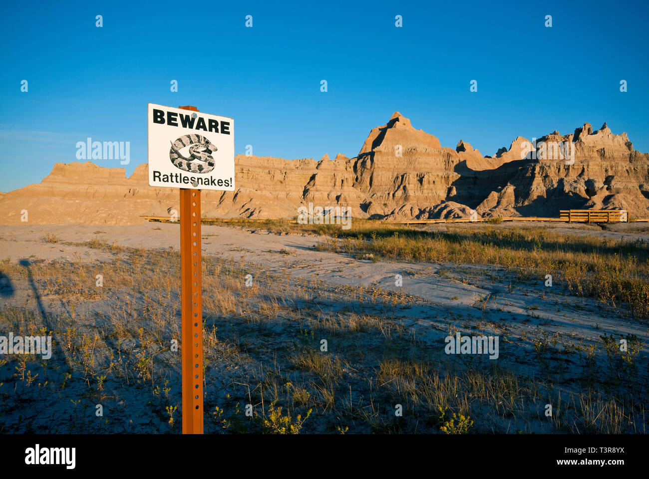 Rattlesnakes badlands hi-res stock photography and images - Alamy