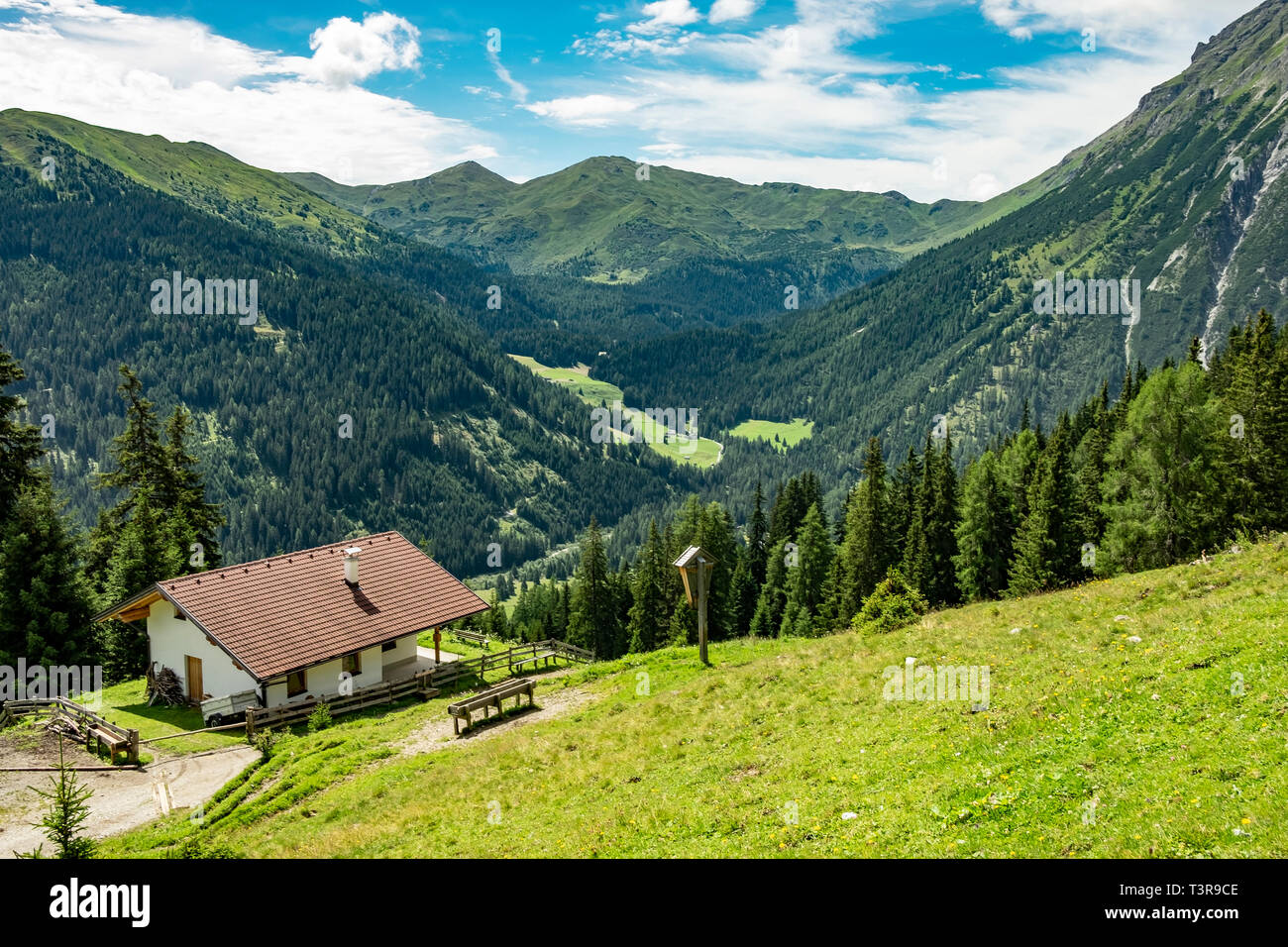 Austria tyrol meadow mountains flowers hi-res stock photography and ...