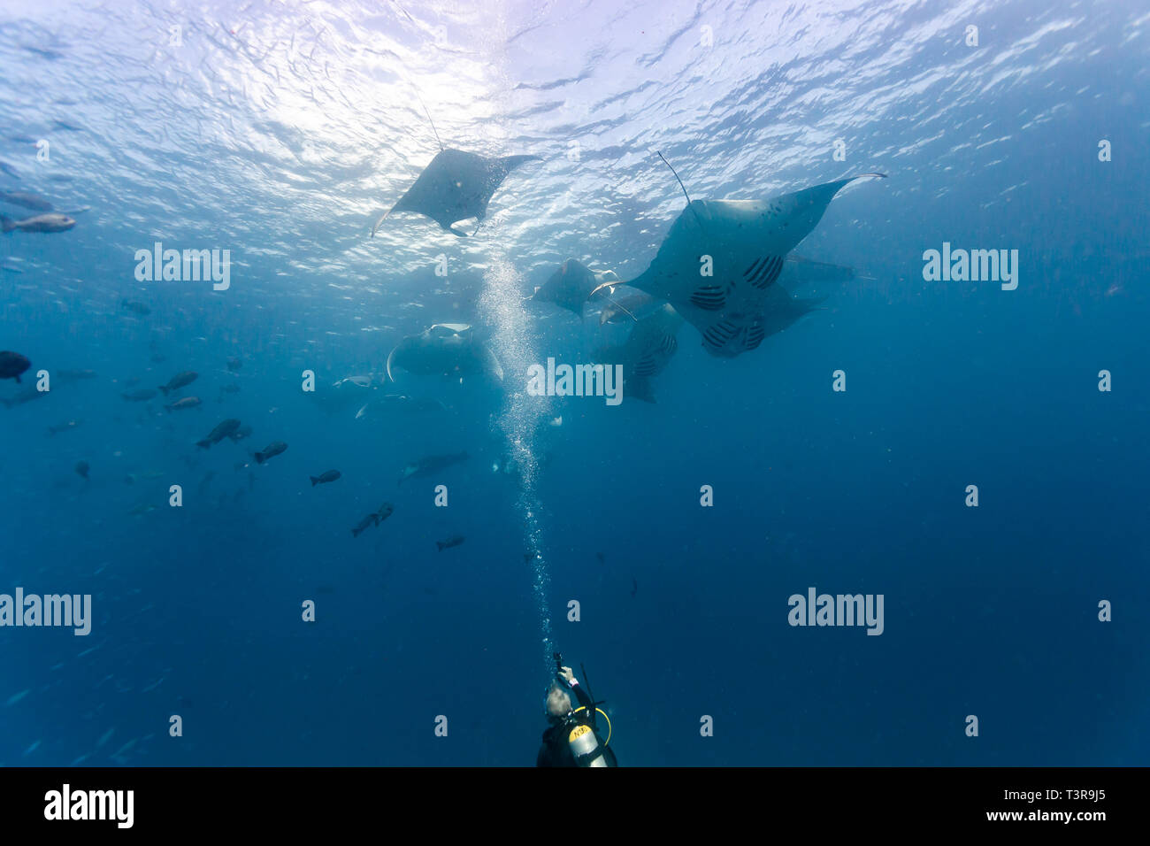 Train diver hi-res stock photography and images - Alamy