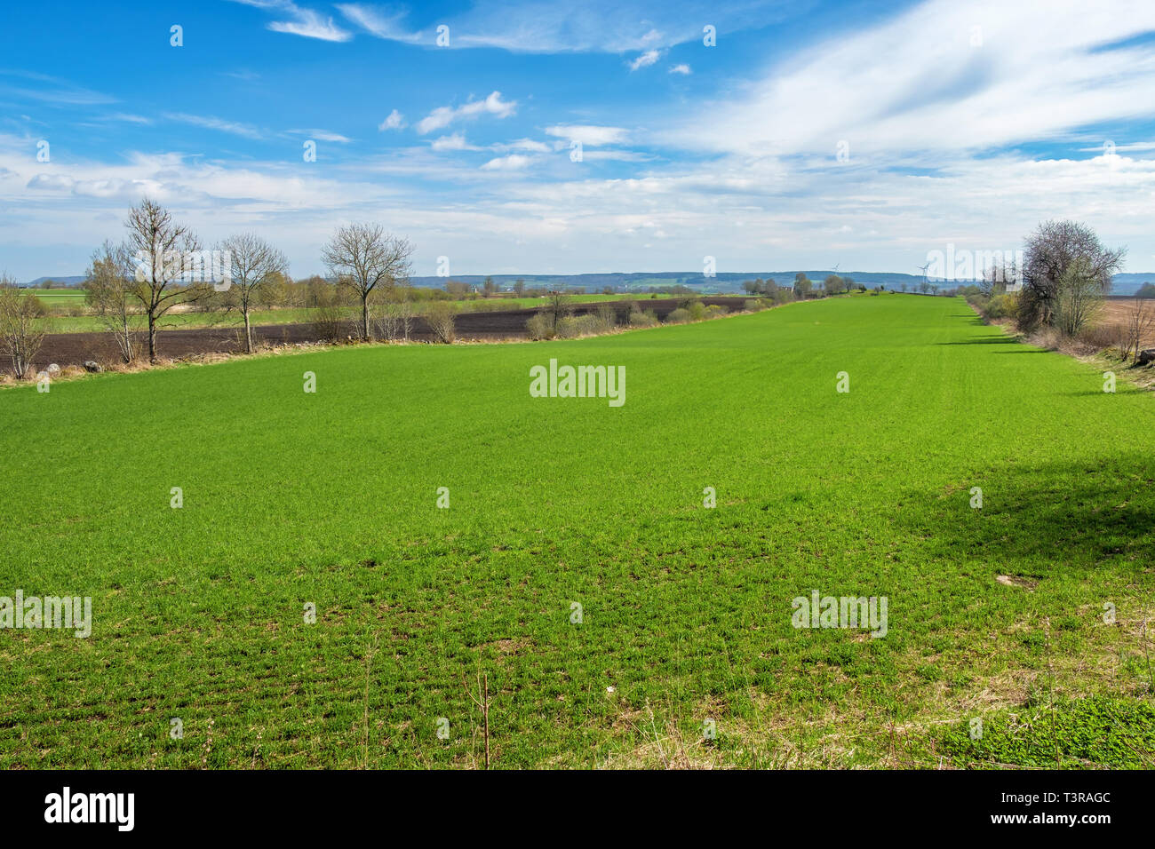 Green field in a beautiful landscape view Stock Photo - Alamy