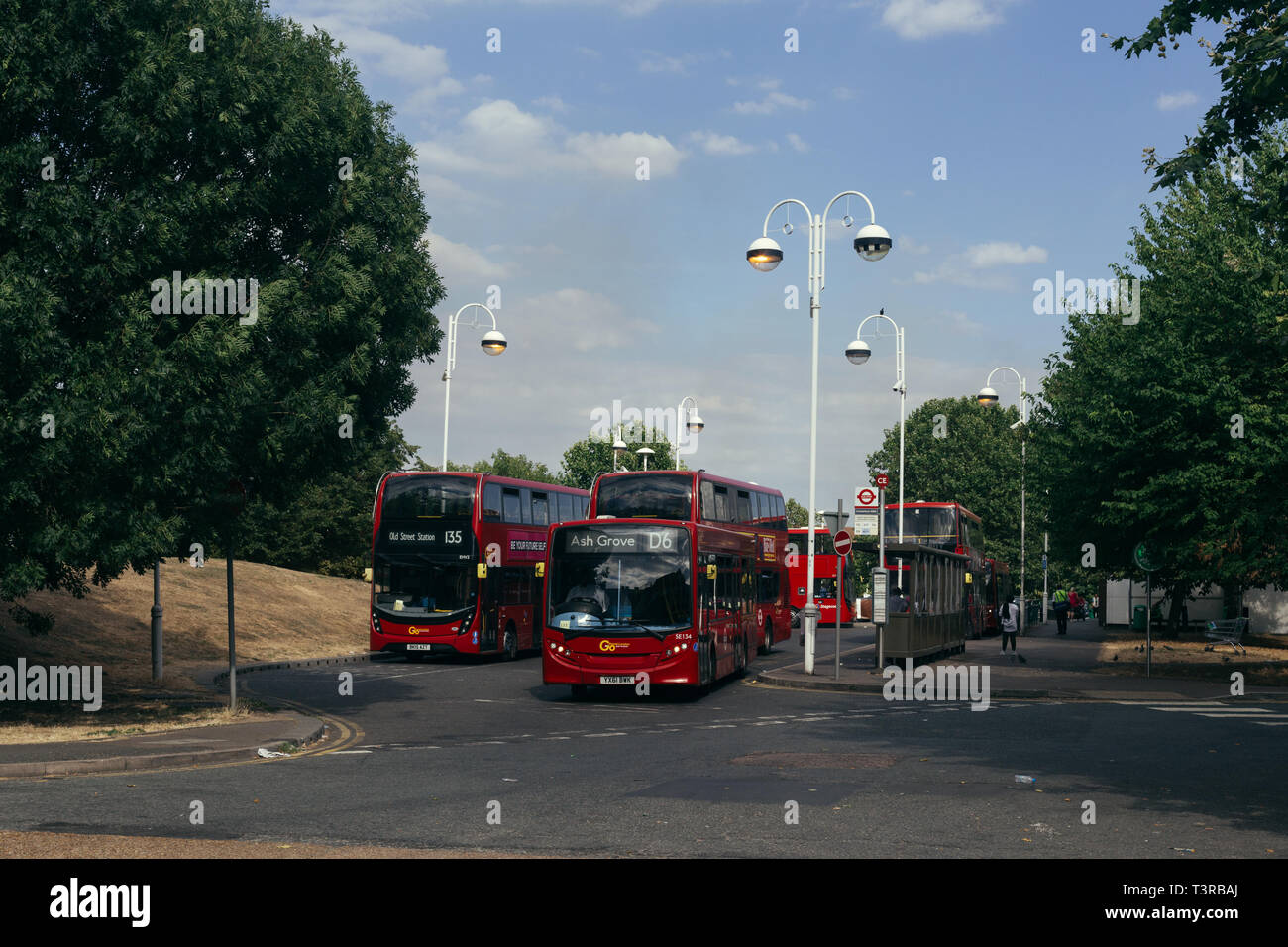 Can You Take Dogs On The Bus In London