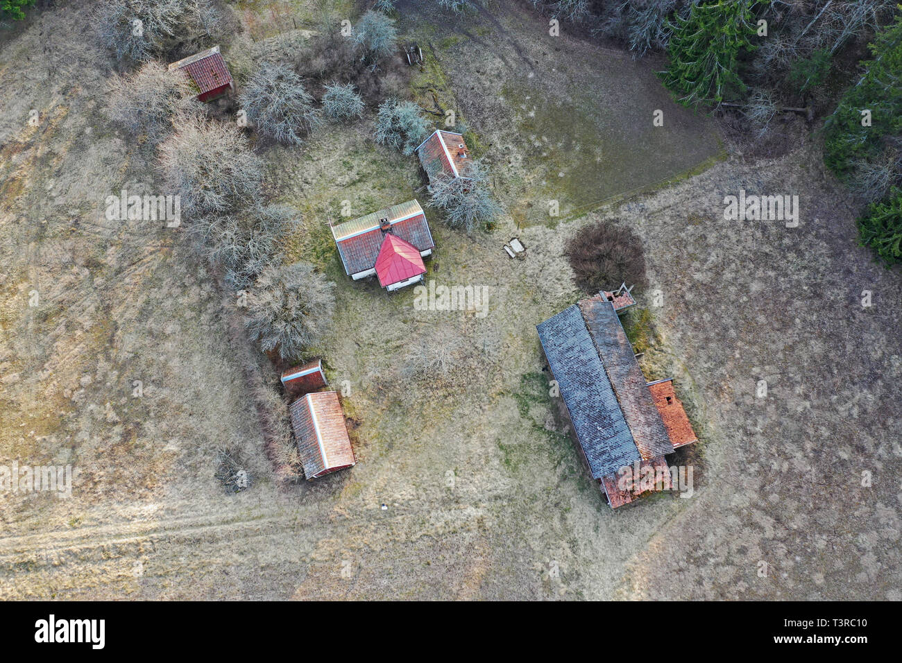 Abandoned farm, adjacent to forest, in the countryside Stock Photo - Alamy