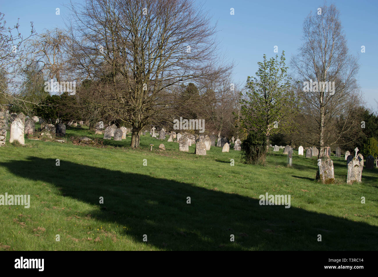 Sussex spring walk Uckfield and local areas Stock Photo - Alamy