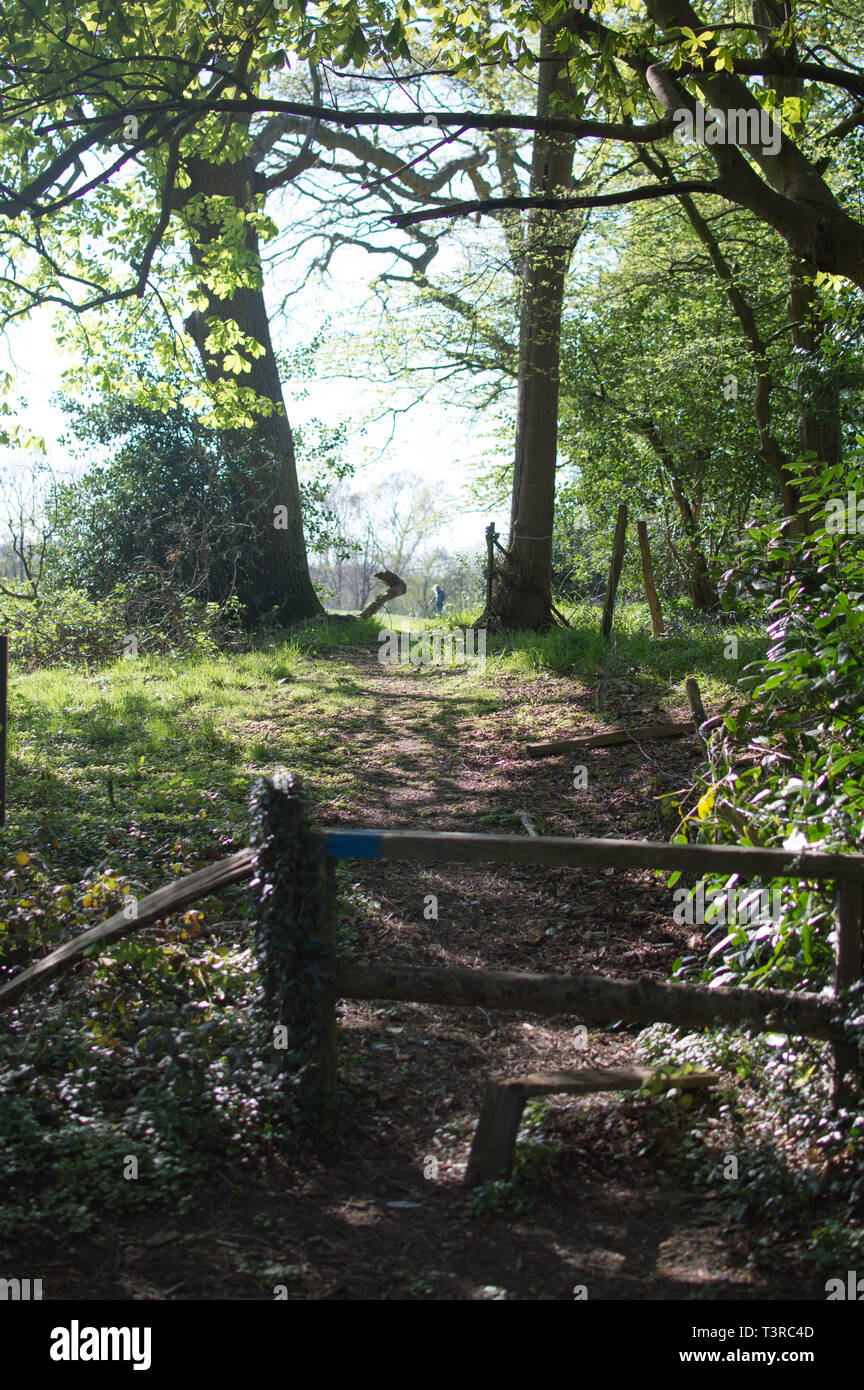 Sussex spring walk Uckfield and local areas Stock Photo - Alamy
