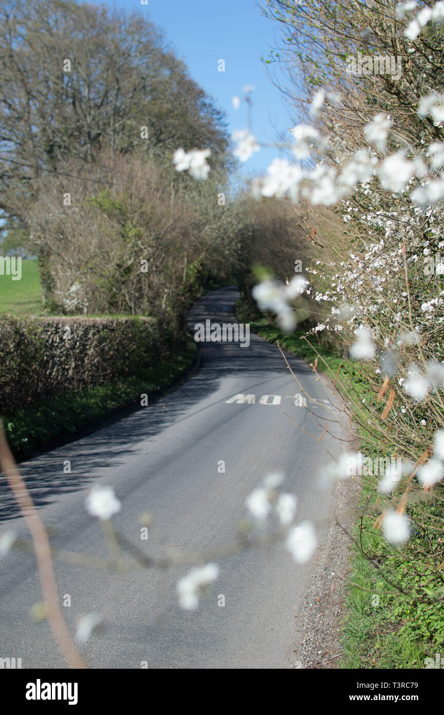 Sussex spring walk Uckfield and local areas Stock Photo - Alamy