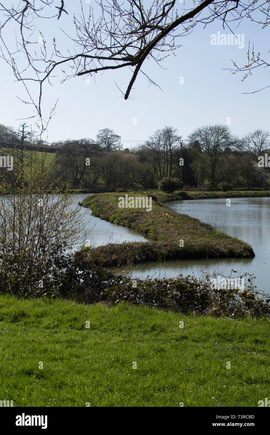 Sussex spring walk Uckfield and local areas Stock Photo - Alamy