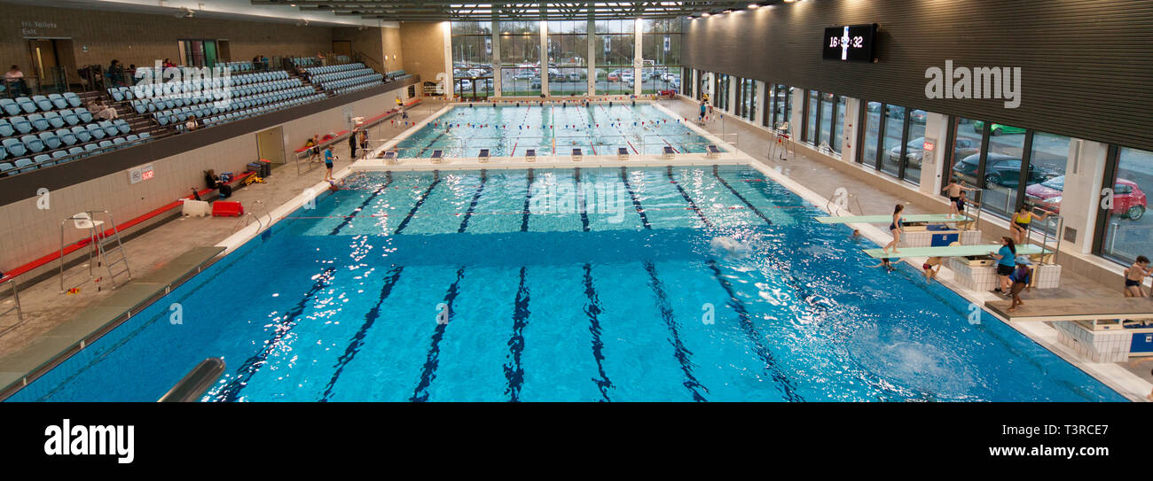 Indoor Swimming Pool With Diving Board High Resolution Stock ...