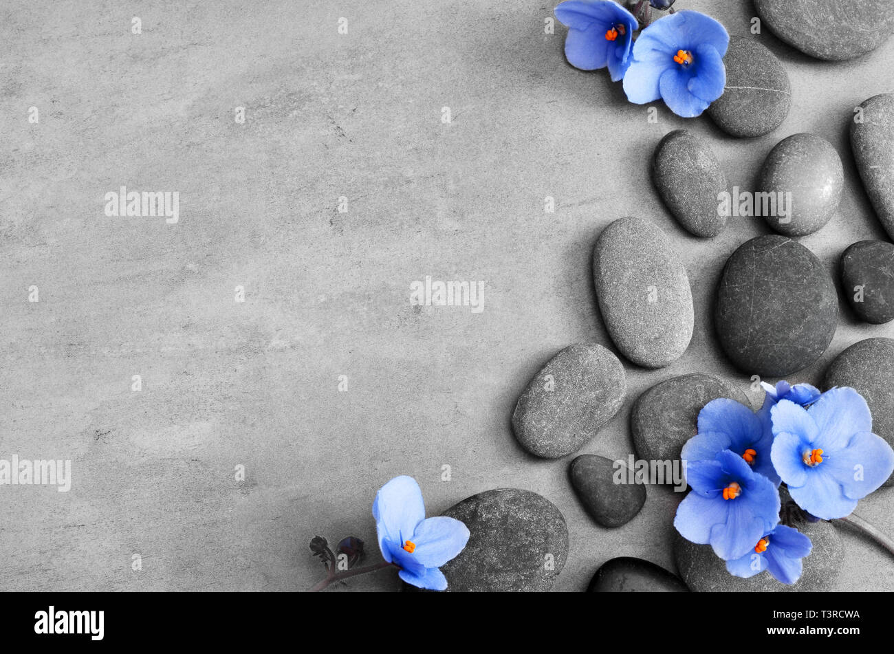 Blue flower stone zen hi-res stock photography and images - Alamy