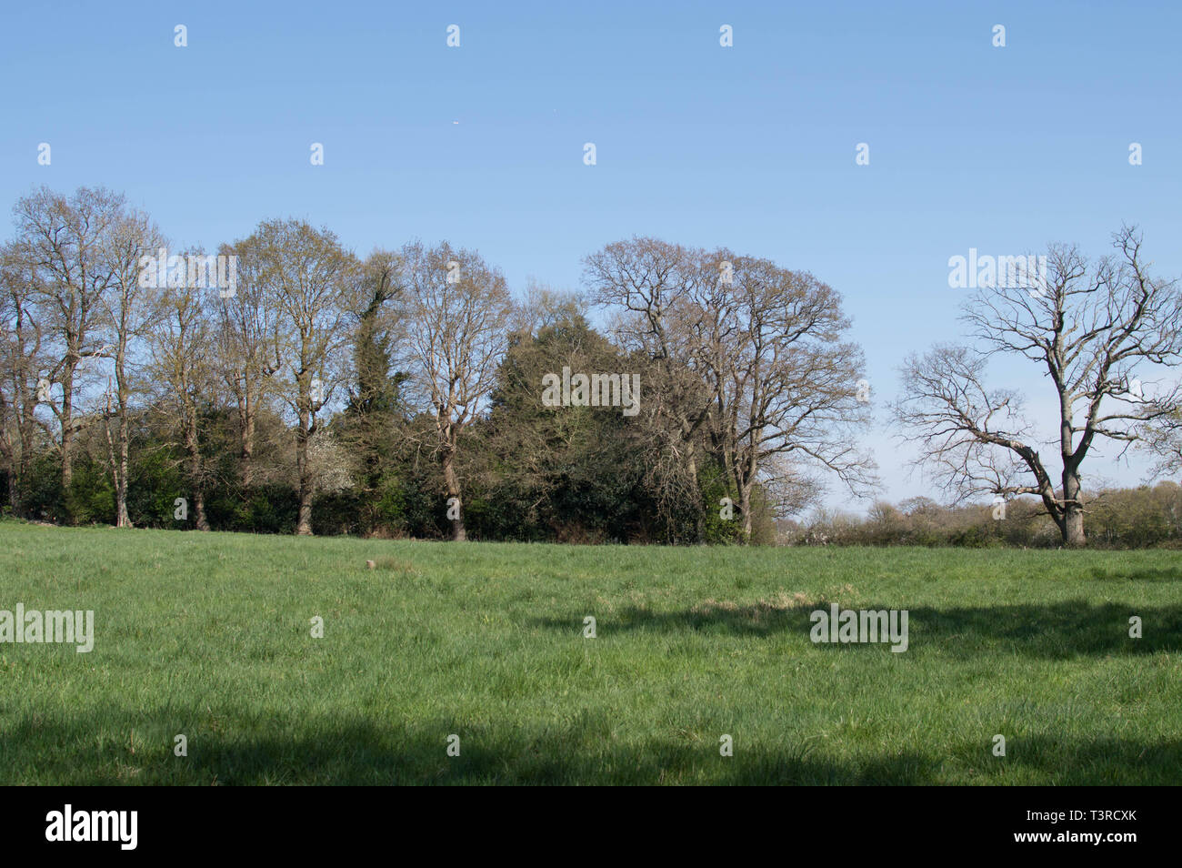 Sussex walks hi-res stock photography and images - Alamy