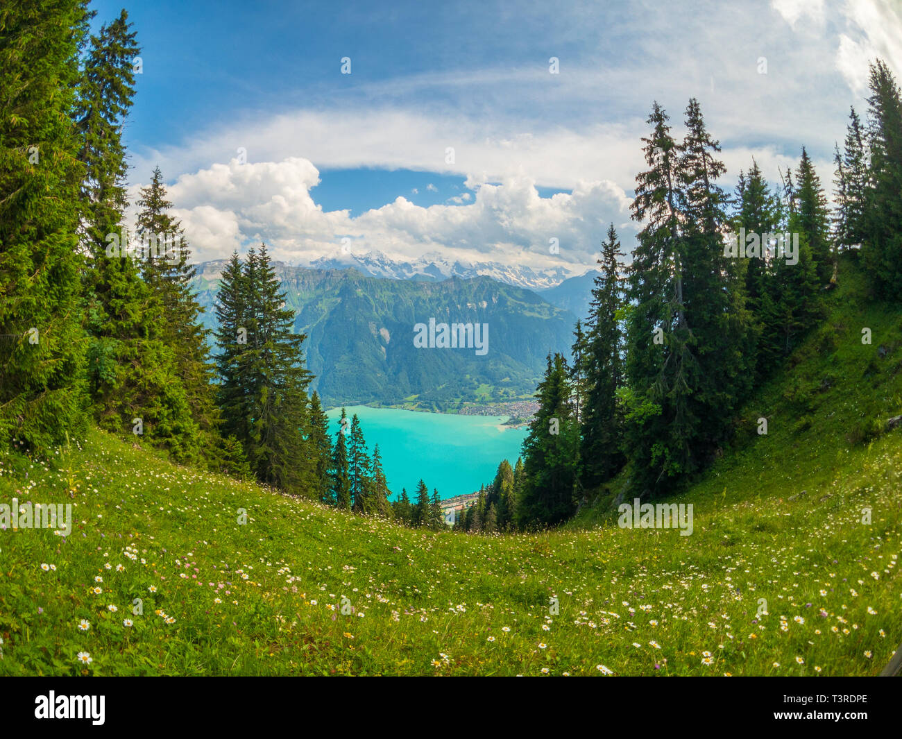 Summer time landscape in Switzerland Stock Photo - Alamy