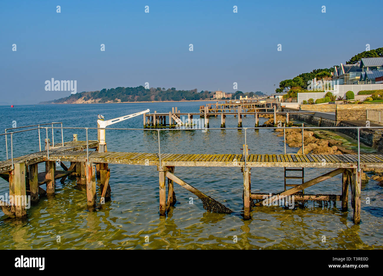 Ferry to brownsea island hi-res stock photography and images - Alamy