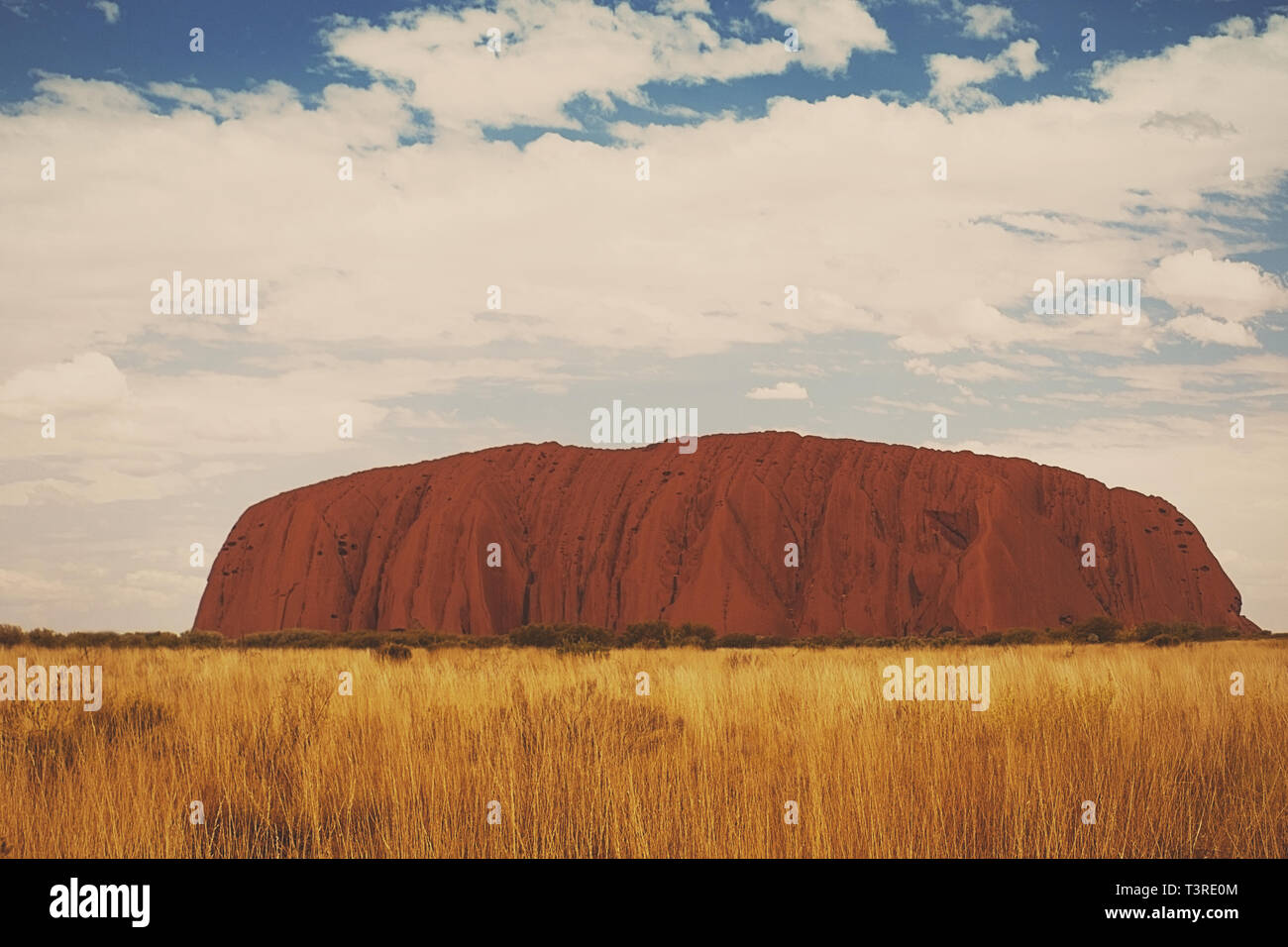 uluru landscape III , australia Stock Photo - Alamy
