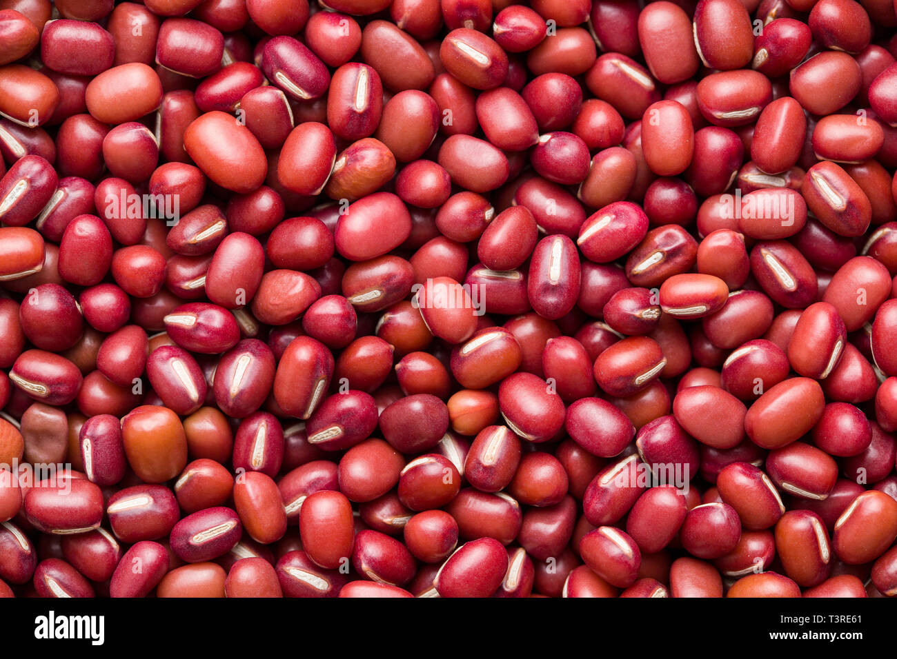 Red adzuki beans. Texture of beans Stock Photo - Alamy