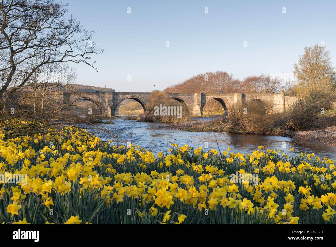 Bridge of dee aberdeen hi-res stock photography and images - Alamy