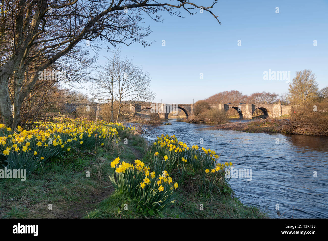 Bank riverbank hi-res stock photography and images - Alamy