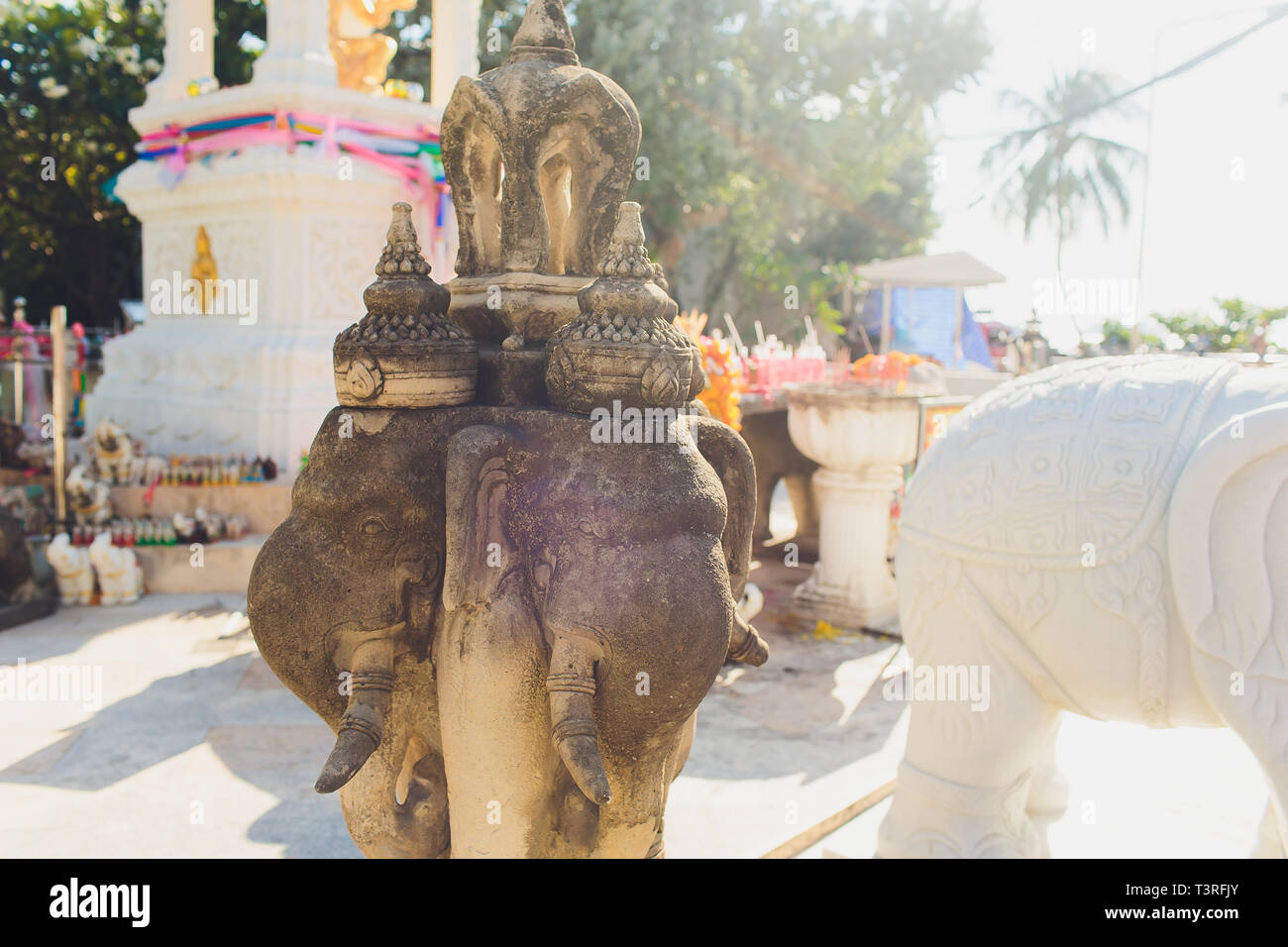 The vitality of the buddhist temple hi-res stock photography and images ...