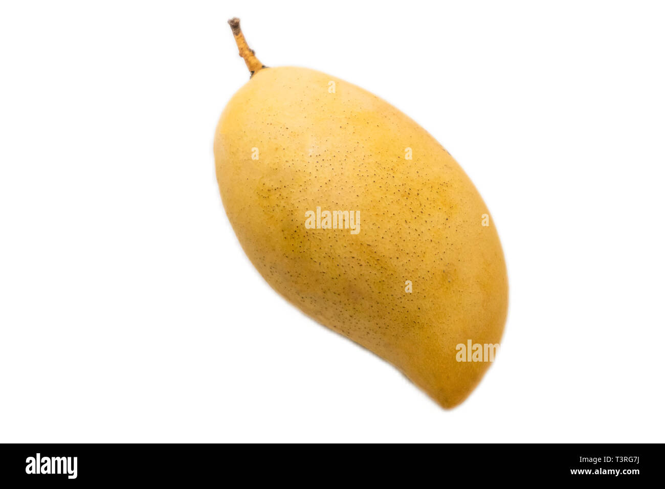Yellow mango fruit on a white background Stock Photo - Alamy