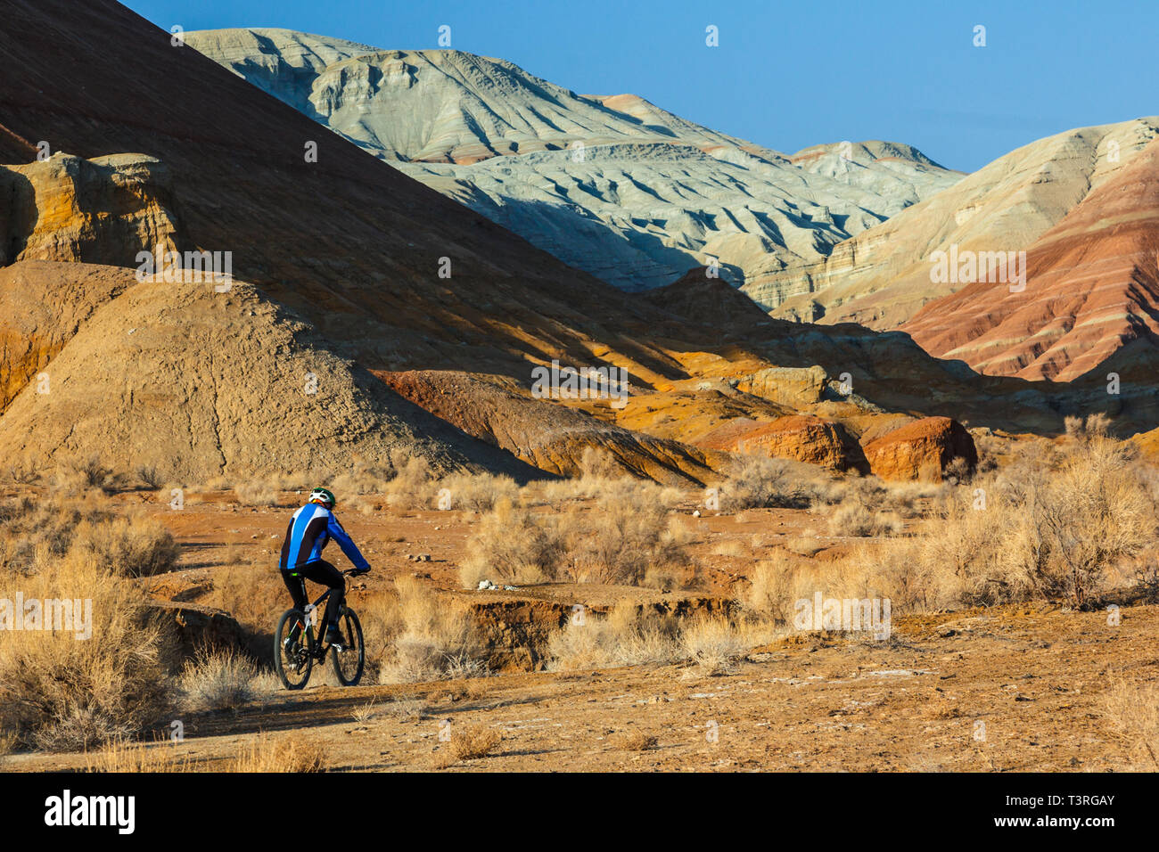 Cretaceous desert hi-res stock photography and images - Alamy
