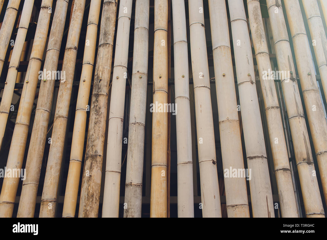 Bamboo wall or Bamboo fence texture background Stock Photo - Alamy