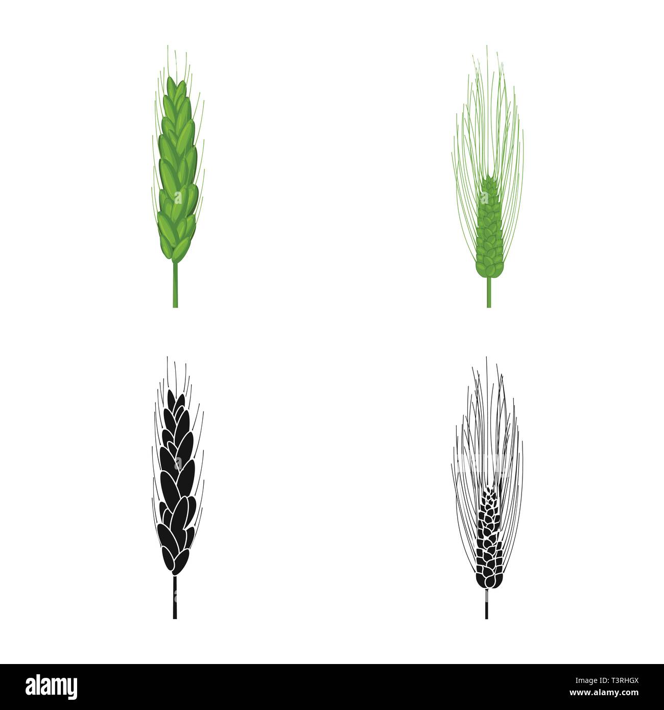 Winter seed in field Stock Vector Images - Alamy