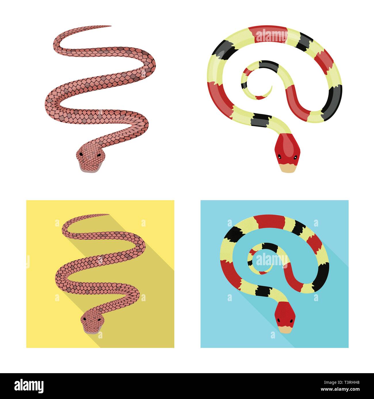 snake,tail,coral,spiral,red,forest,black,leather,white,creeping,animal ...