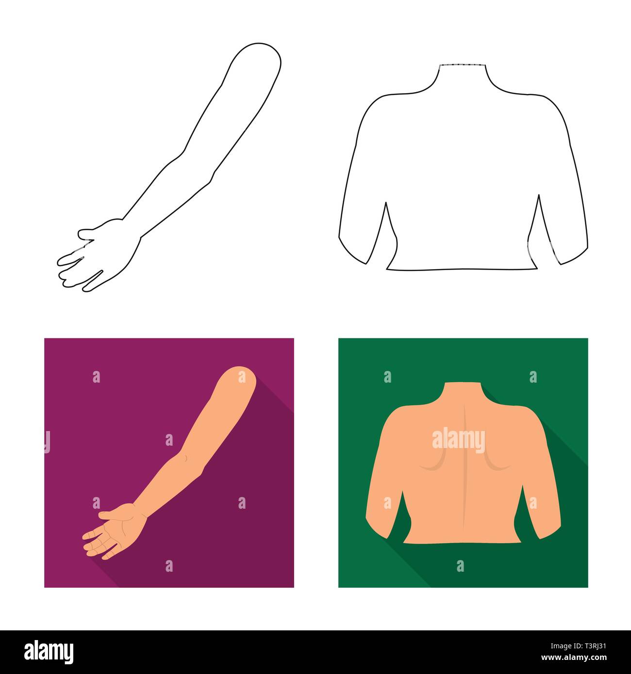 Vector design of body and part sign. Set of body and anatomy vector ...