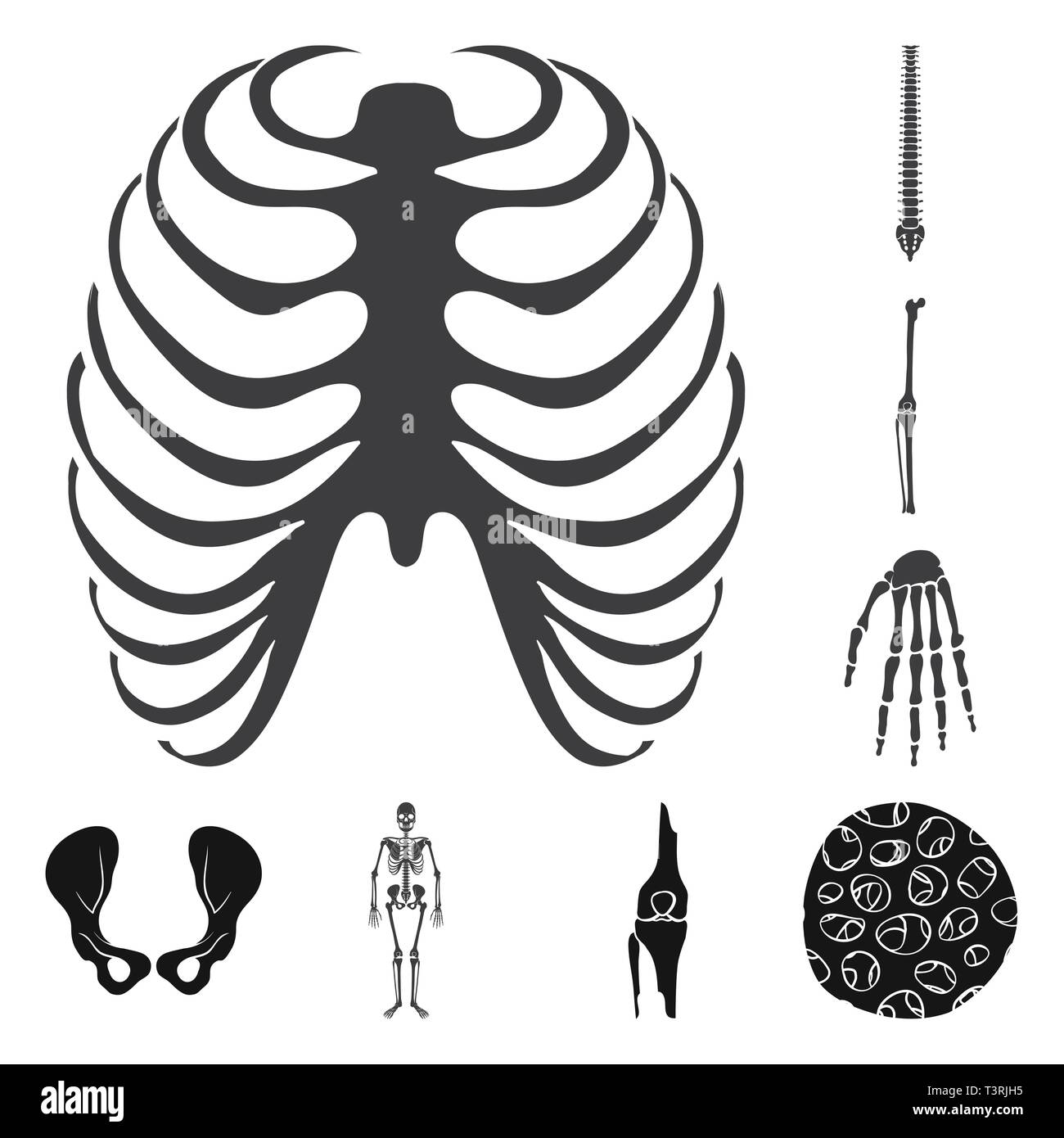 Vector illustration of biology and medical sign. Set of biology and ...