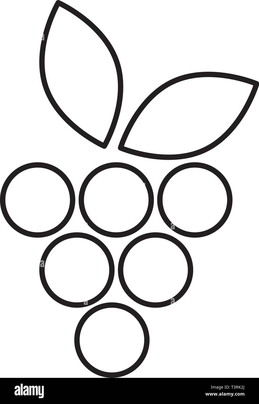 Vine grape fruits Black and White Stock Photos & Images - Alamy