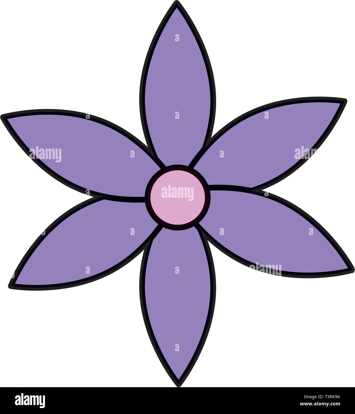 beautiful flower decorative icon Stock Vector Image & Art - Alamy