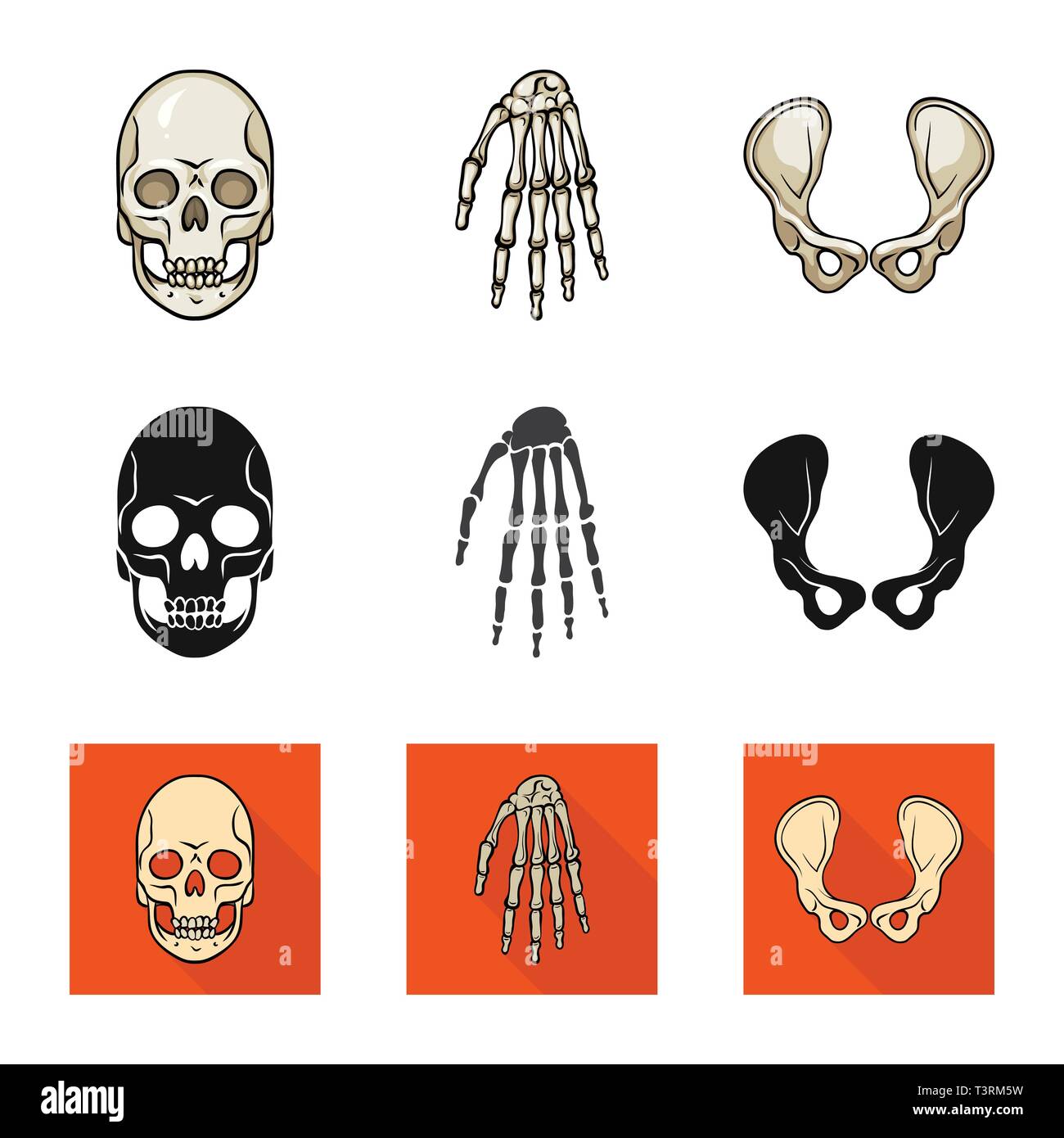 skull,wrist,hip,death,hand,joint,monster,calcium,pelvis,evil,structure ...