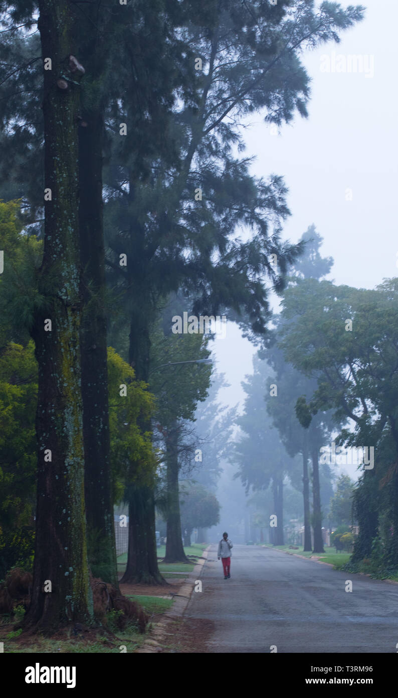 Highveld in winter hi-res stock photography and images - Alamy