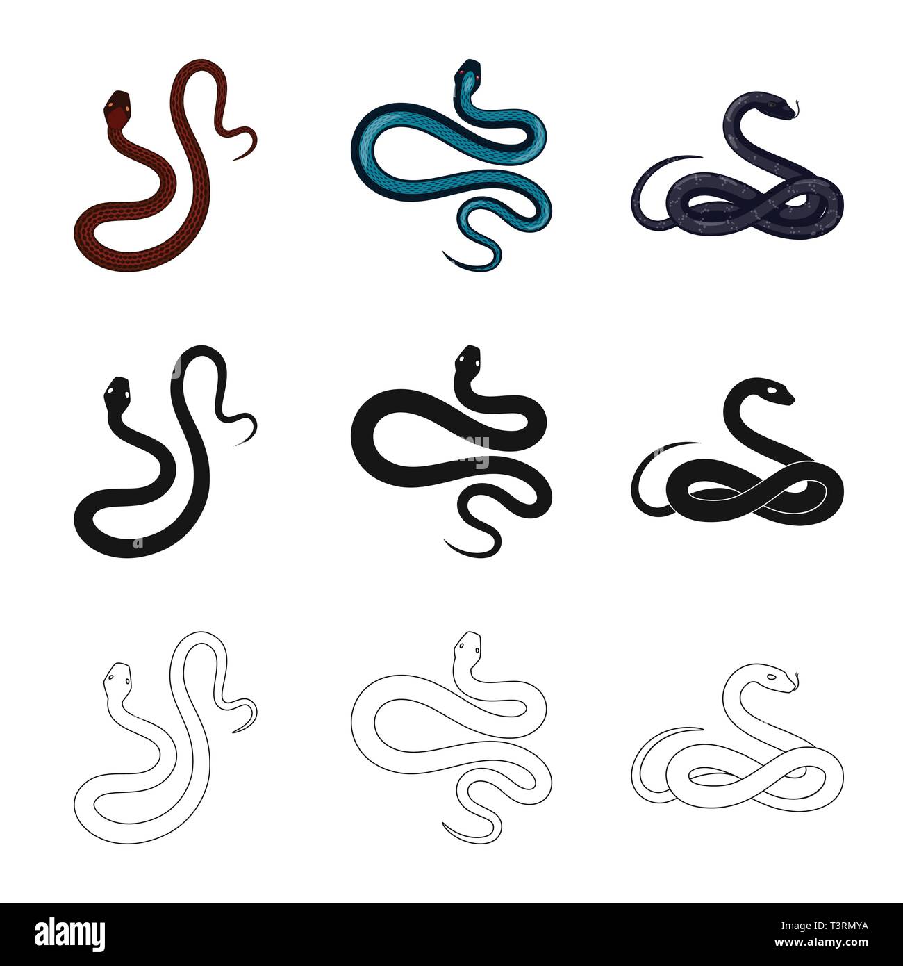 snake,amphibian,anaconda,tail,spiral,animal,python,cobra,creeping,blue ...