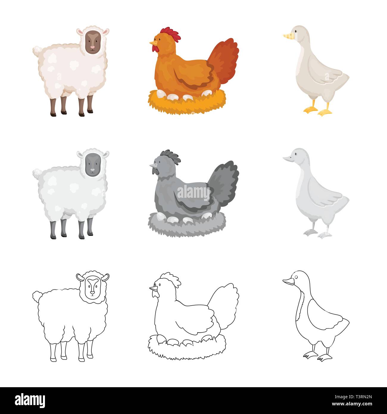 Mutton bird Cut Out Stock Images & Pictures - Alamy