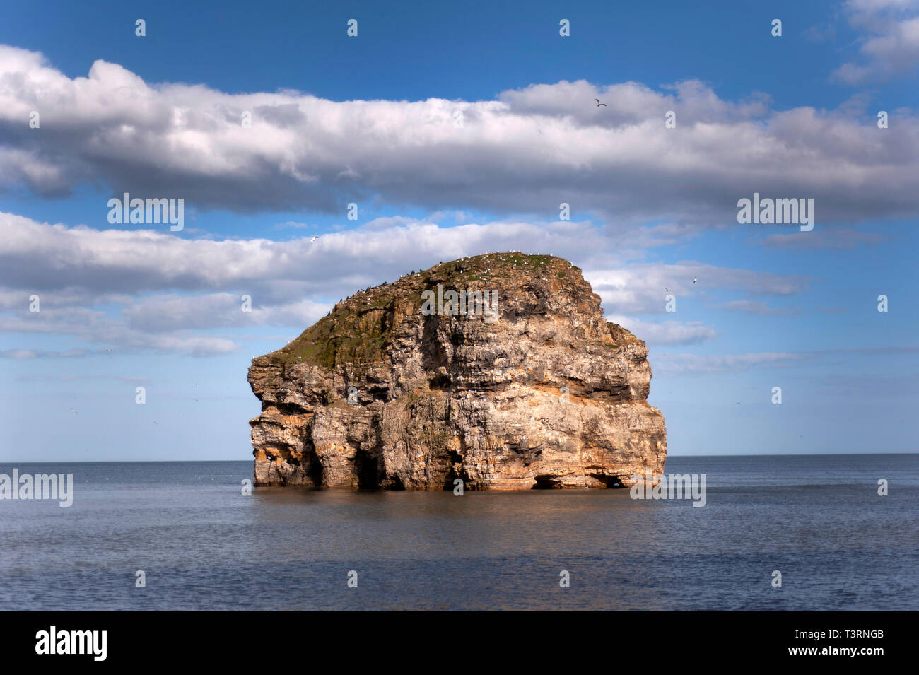 Marsden bay / The Leas, South Shields Stock Photo - Alamy