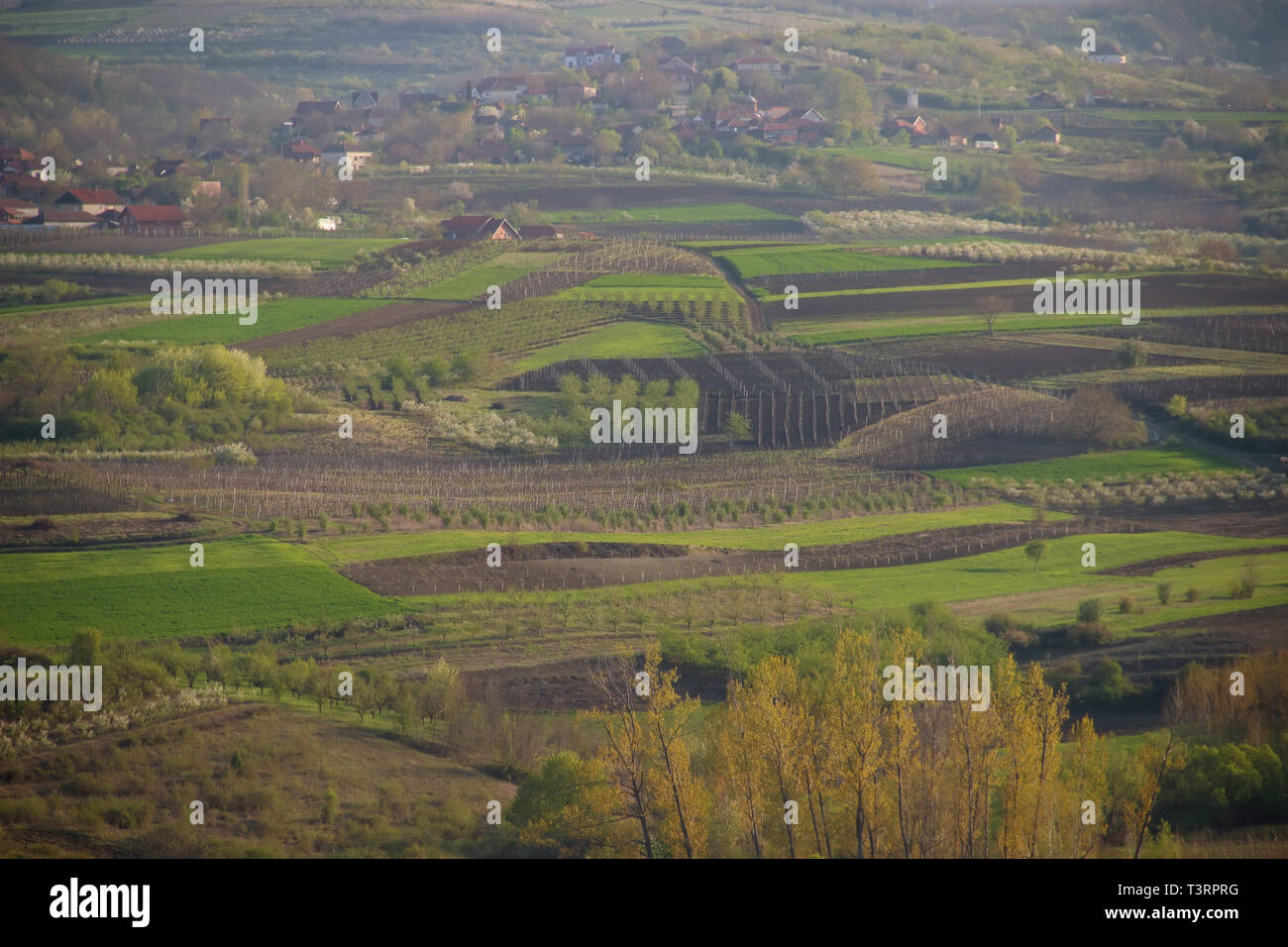 Rural landscape with fields in a valley Stock Photo - Alamy