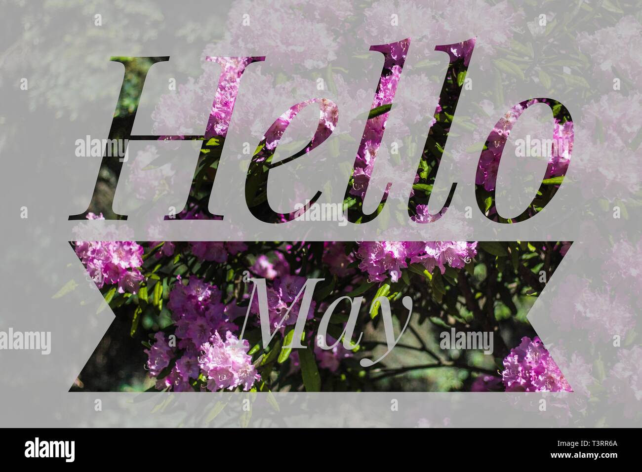 Banner hello may. Welcome picture. New month. Warm month. the month of ...
