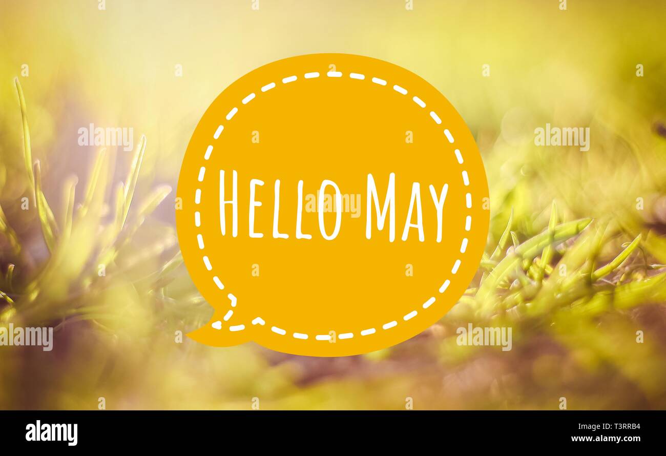 Banner hello may. Welcome picture. New month. Warm month. the month of ...