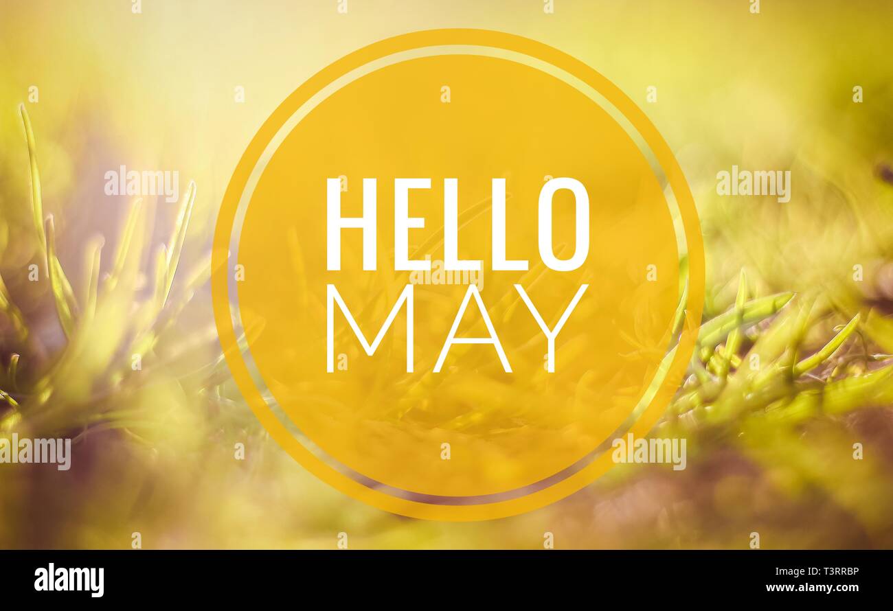 Banner hello may. Welcome picture. New month. Warm month. the month of ...