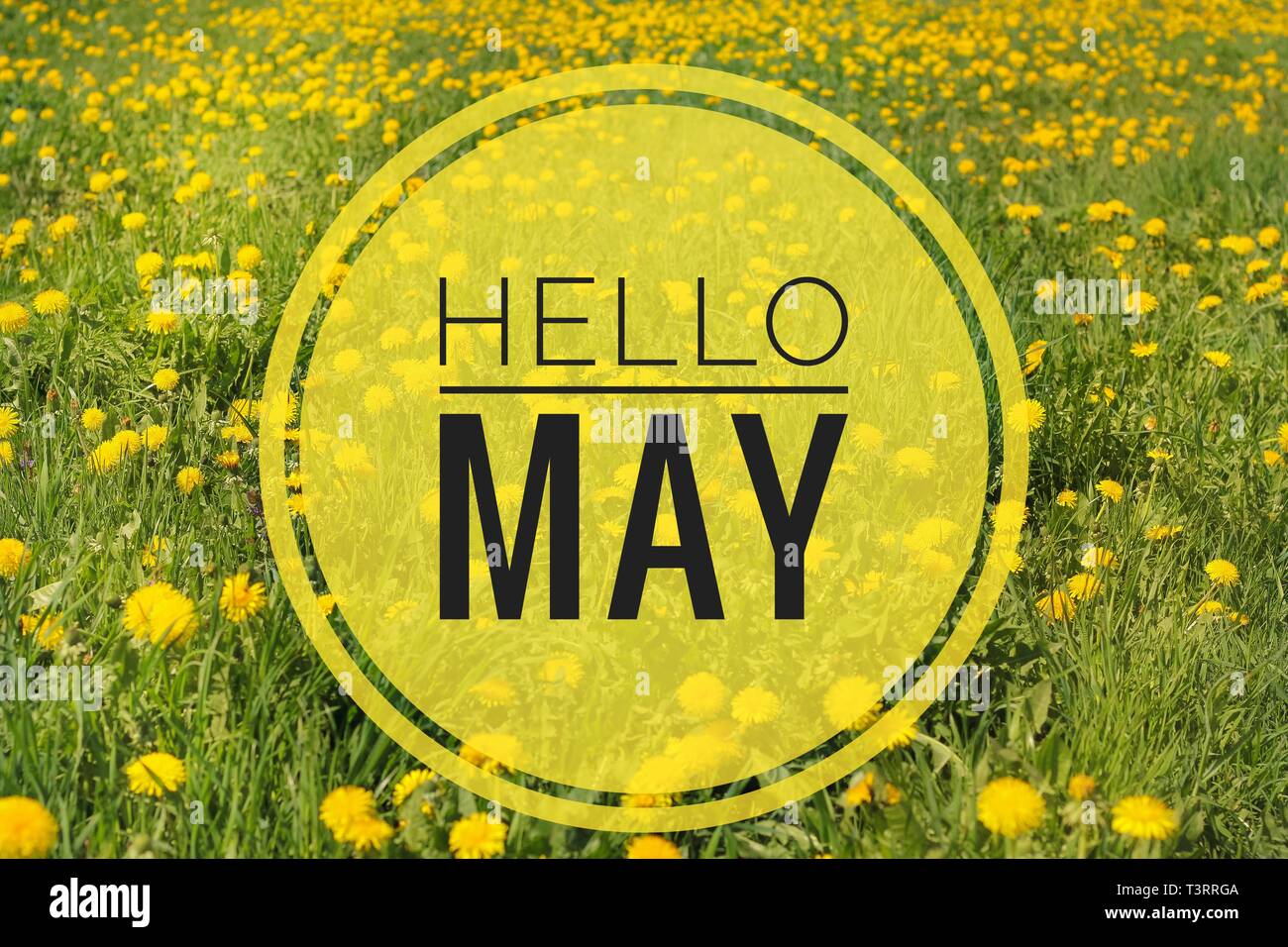 Banner hello may. Welcome picture. New month. Warm month. the month of ...