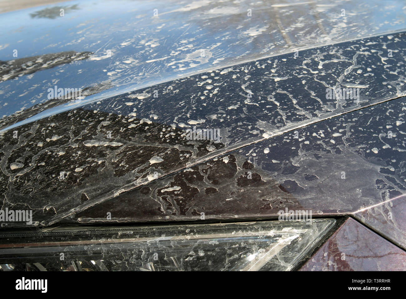 Mud splatter car hi-res stock photography and images - Alamy