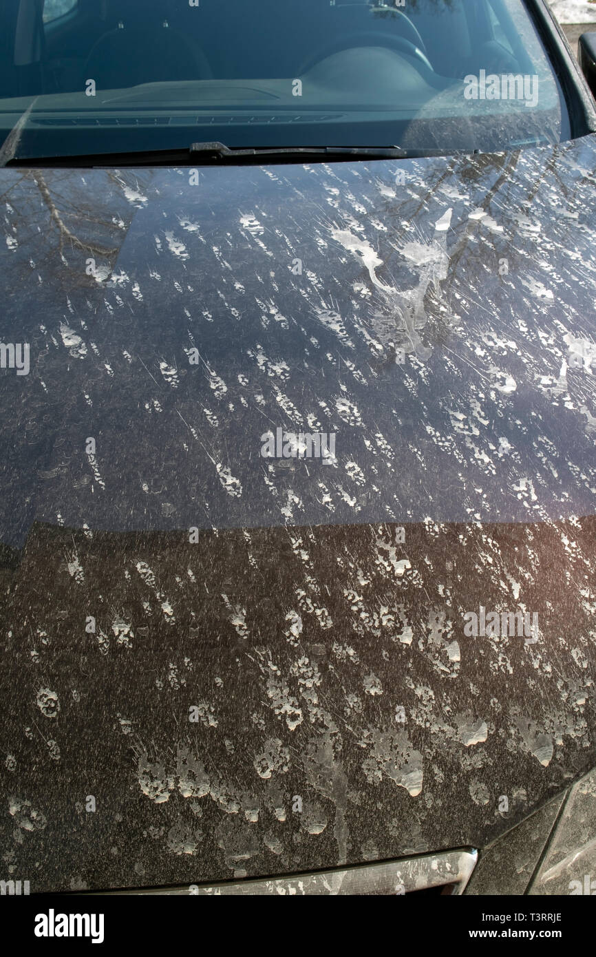 Splashed by car hi-res stock photography and images - Alamy