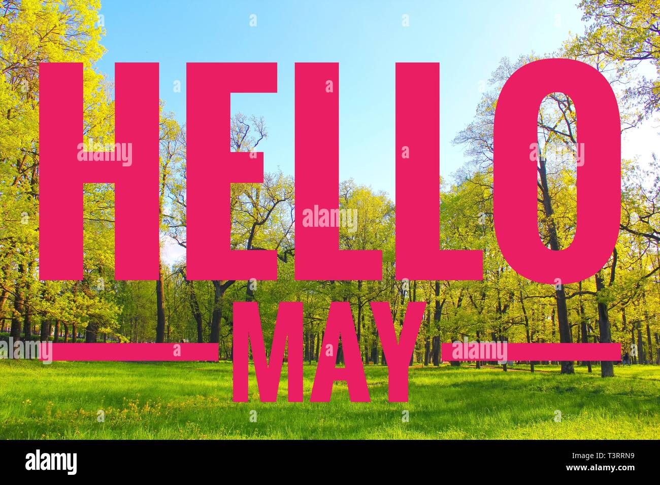 Banner hello may. Welcome picture. New month. Warm month. the month of ...