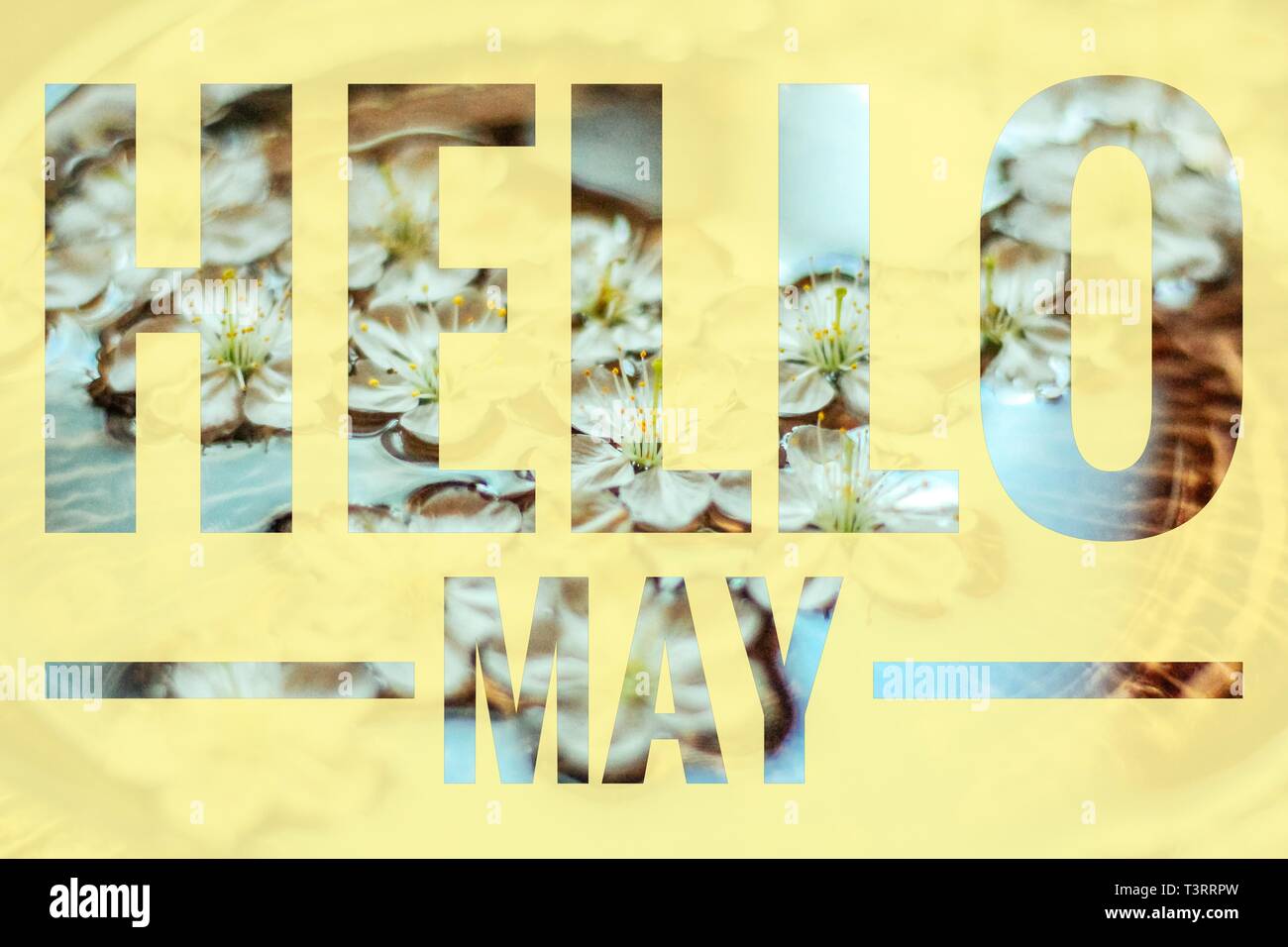 Banner hello may. Welcome picture. New month. Warm month. the month of ...
